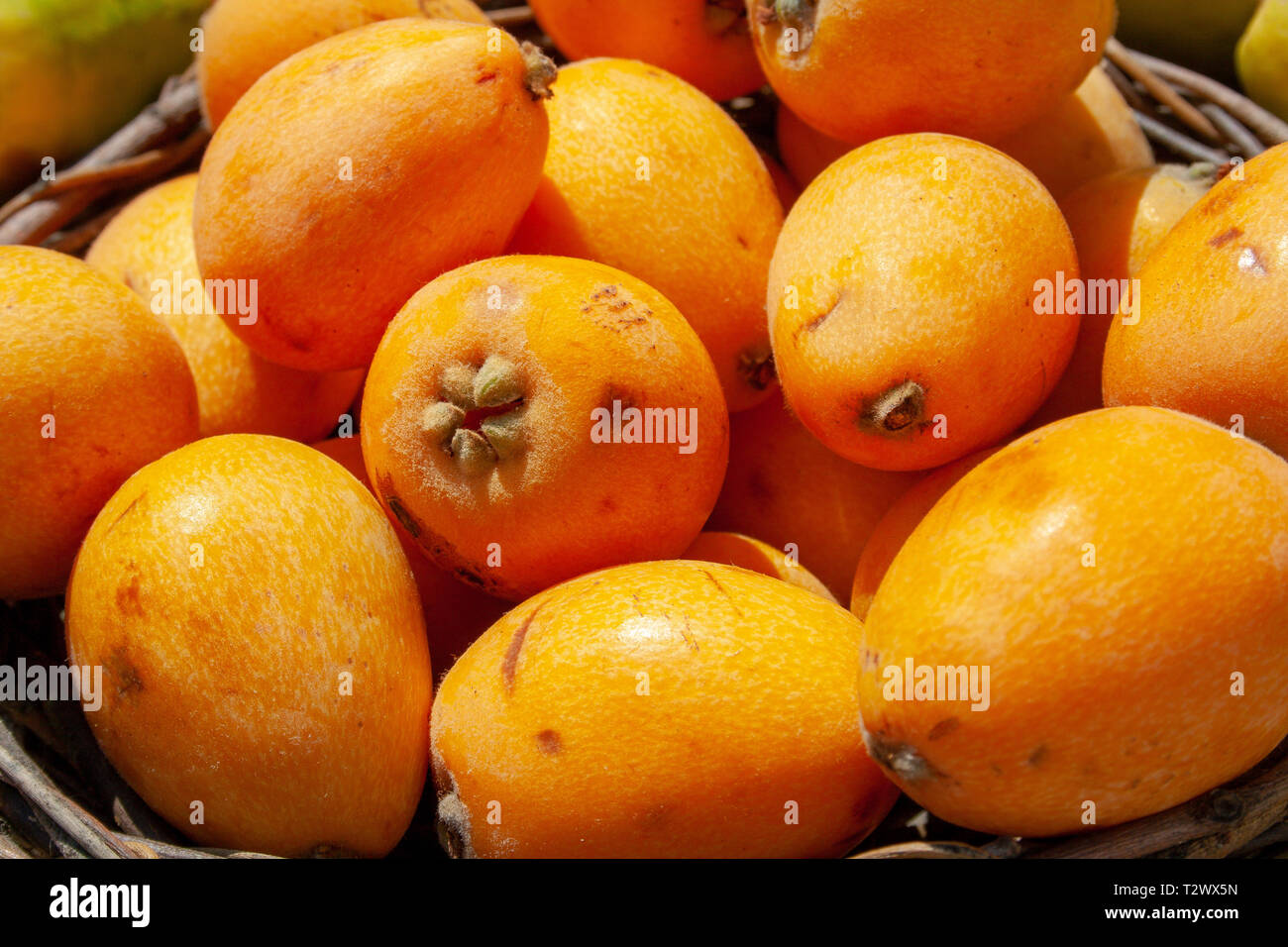 Loquat basket hi-res stock photography and images - Alamy