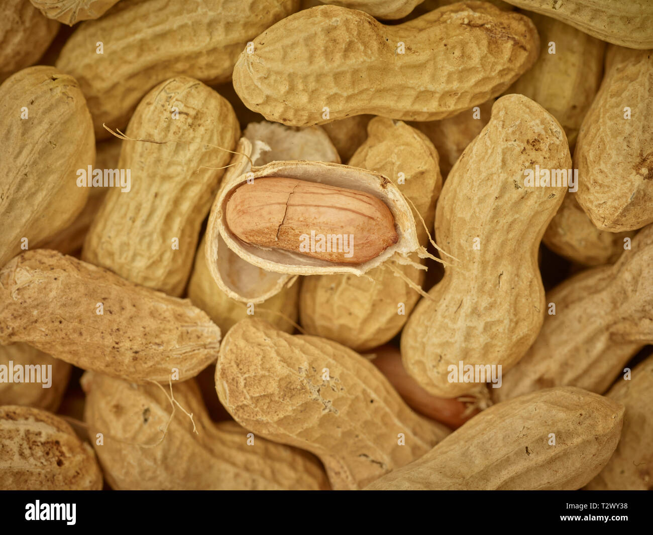 Peanuts food still-life Stock Photo - Alamy