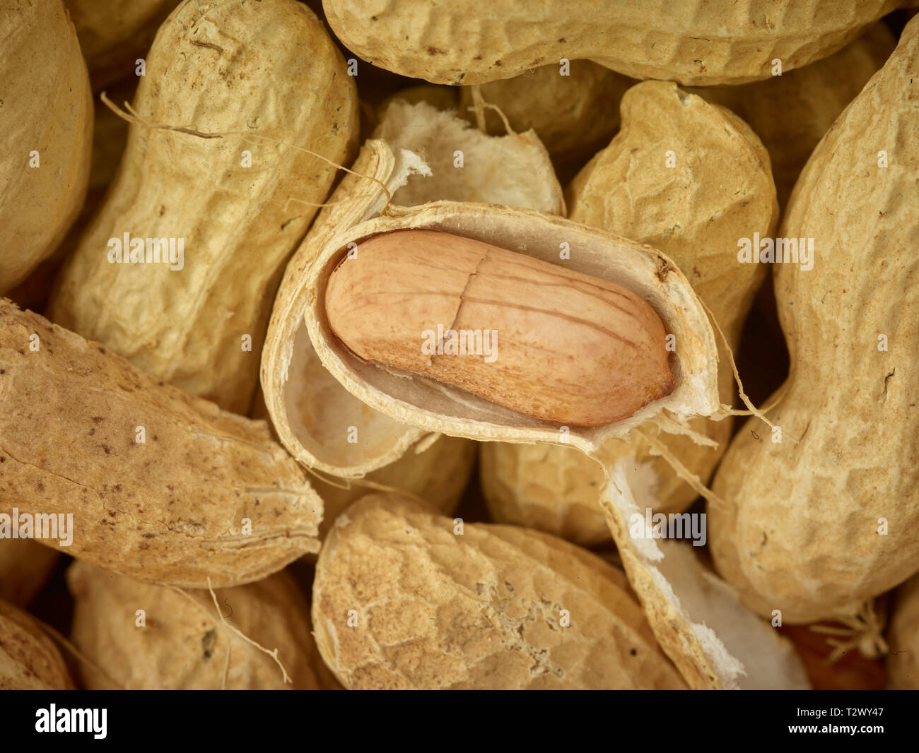 Peanuts food still-life Stock Photo - Alamy