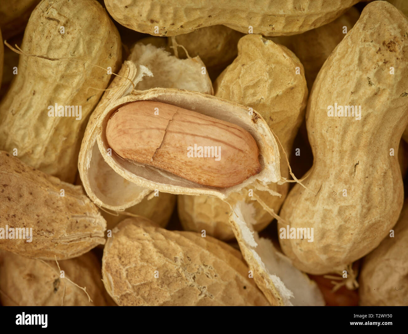 Peanuts food still-life Stock Photo - Alamy