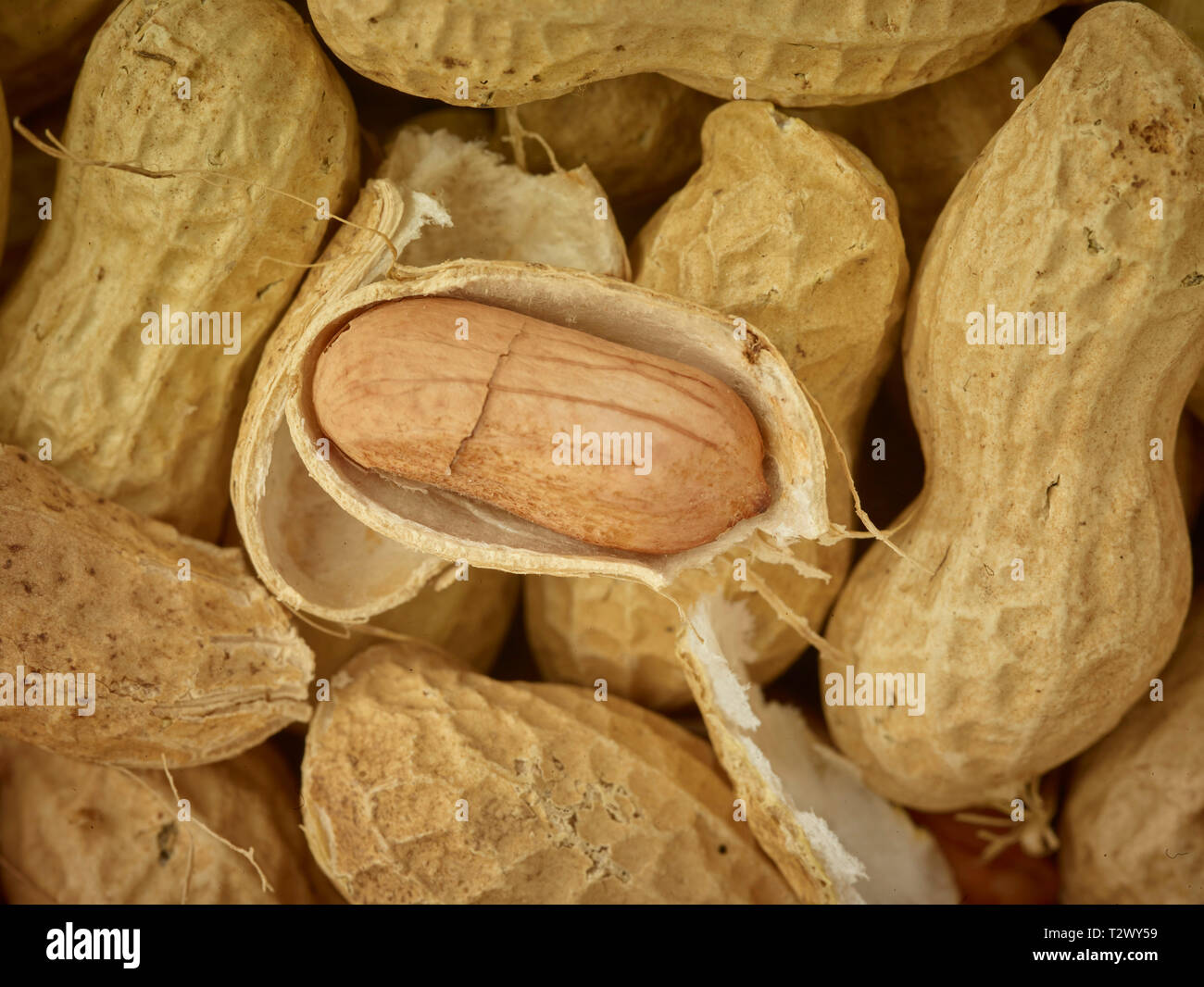 Peanuts food still-life Stock Photo - Alamy