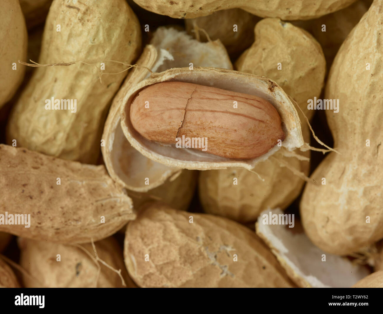 Peanuts food still-life Stock Photo - Alamy
