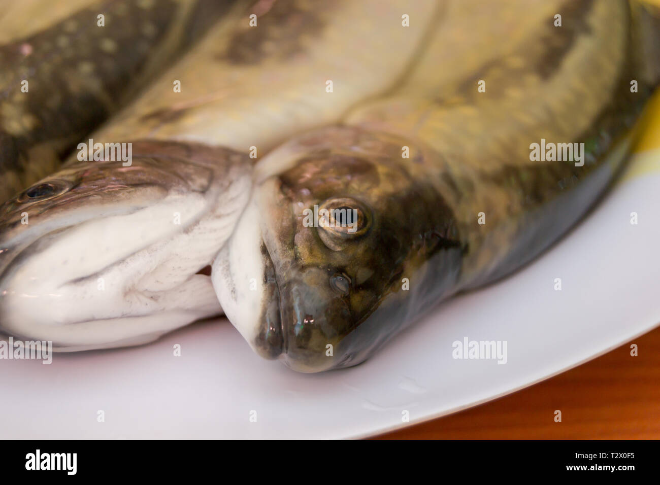 trout head on the plate Stock Photo - Alamy