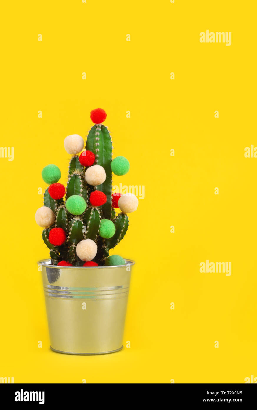 Funny holiday cactus tree with colored balls. Green tropical flower us ...