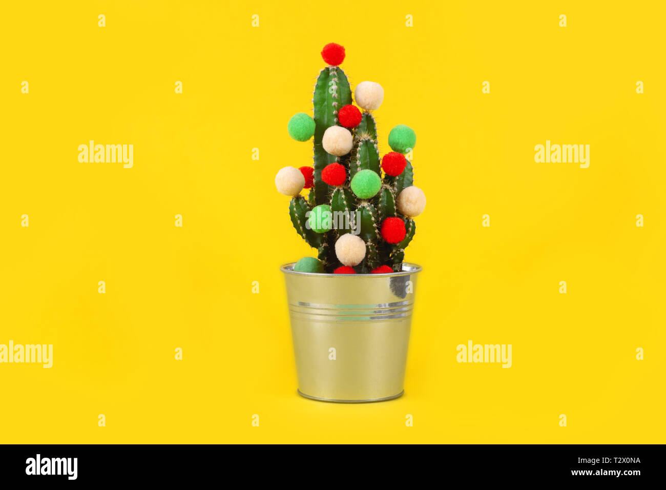 Funny holiday cactus tree with colored balls. Green tropical flower us ...