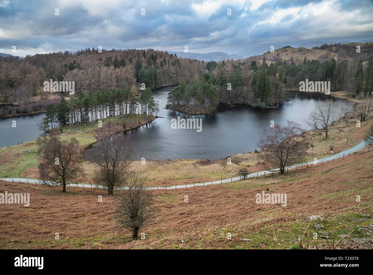 Beautiful evening landscape image of Tarn Hows in UK Lake District ...