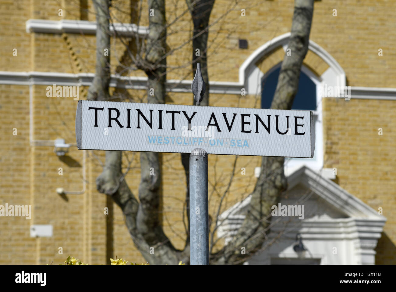 Trinity Avenue High Resolution Stock Photography and Images - Alamy
