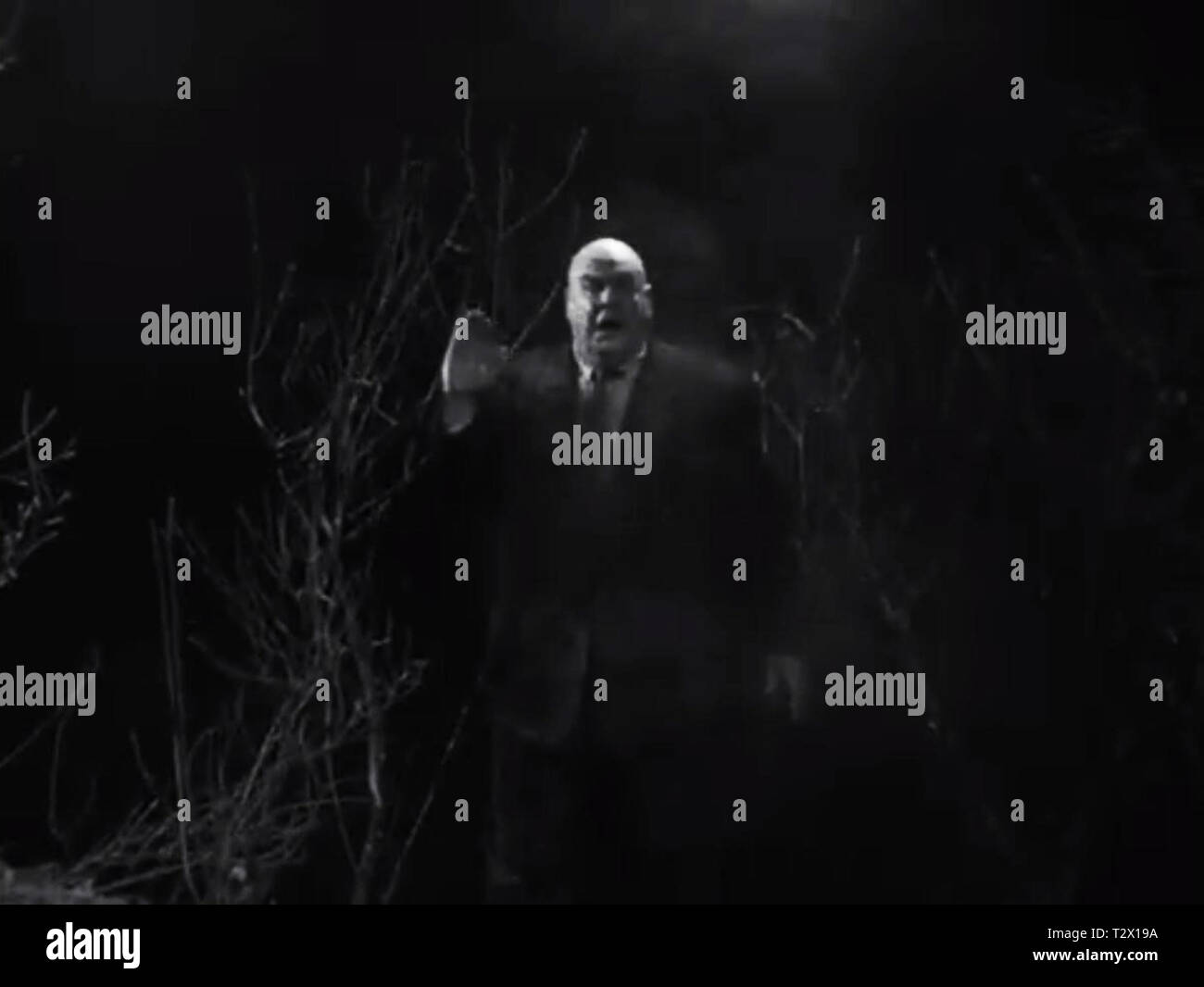 Tor Johnson in Plan 9 from Outer Space by Ed Wood Stock Photo - Alamy