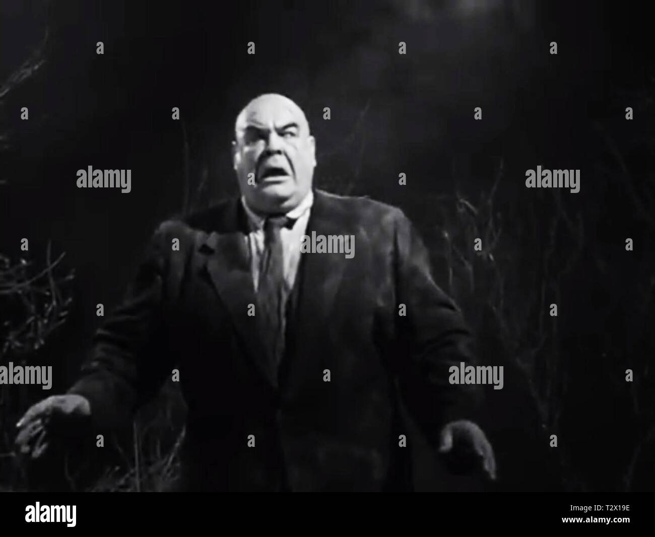 Tor Johnson in Plan 9 from Outer Space by Ed Wood Stock Photo - Alamy