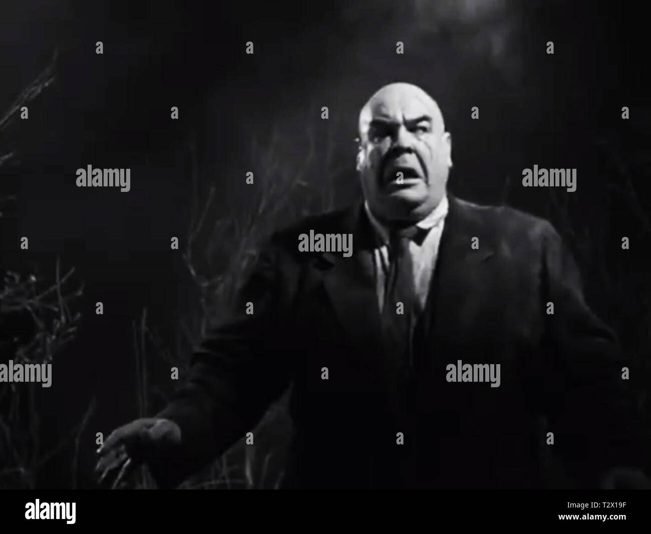 Tor Johnson in Plan 9 from Outer Space by Ed Wood Stock Photo - Alamy