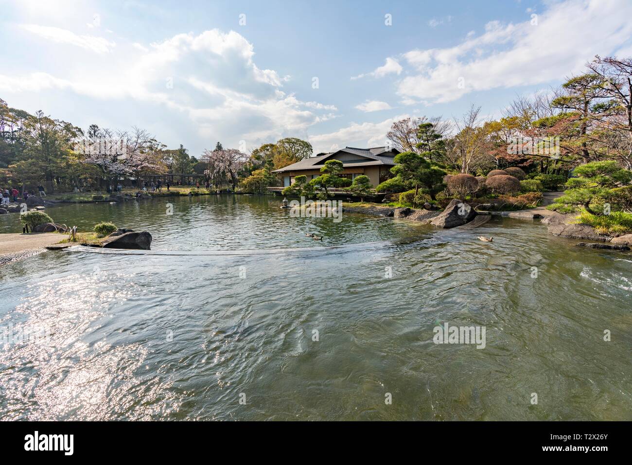 Gyosen Park Heisei Garden Genshin-an, Edogawa-Ku, Tokyo, Japan Stock ...