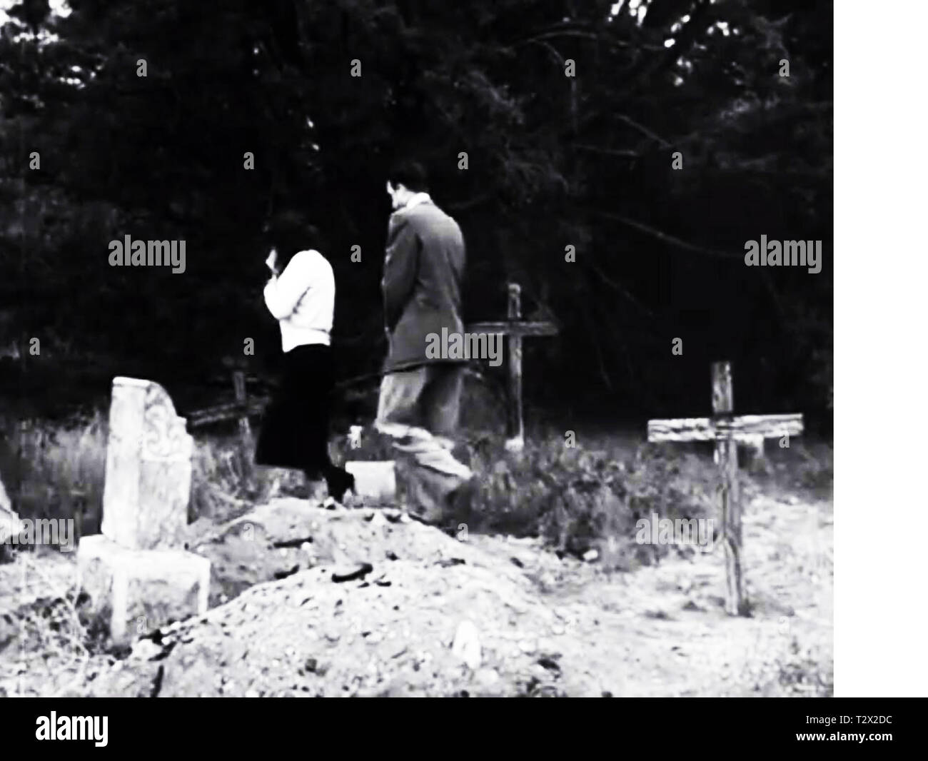 Scene from the graveyard in Plan 9 From Outer Space Stock Photo - Alamy