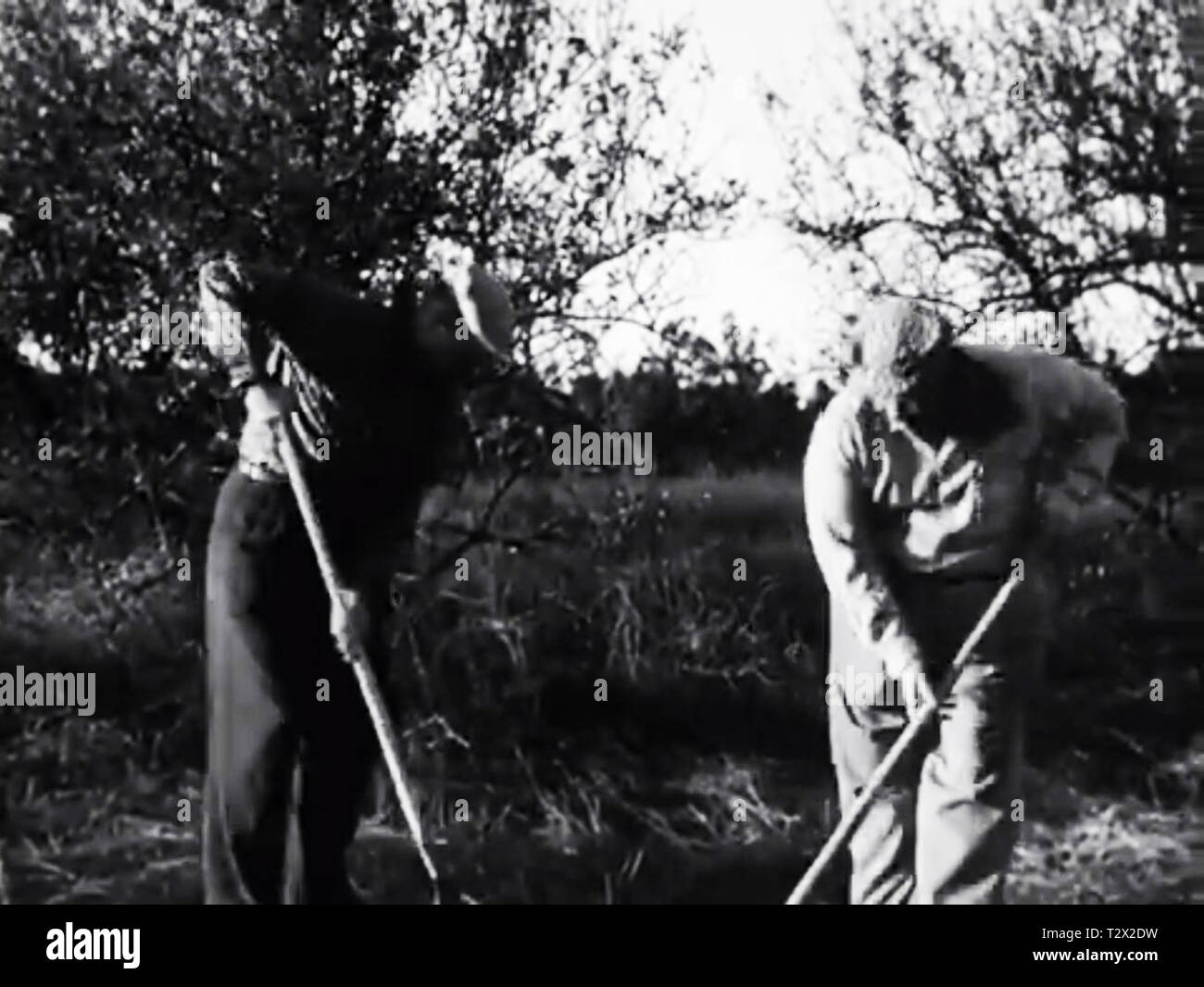 Grave workers hi-res stock photography and images - Alamy