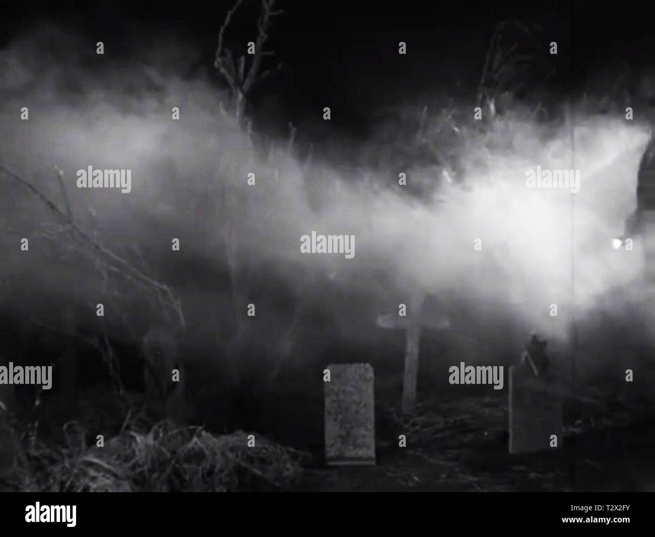 Scene from the graveyard in Plan 9 From Outer Space Stock Photo - Alamy