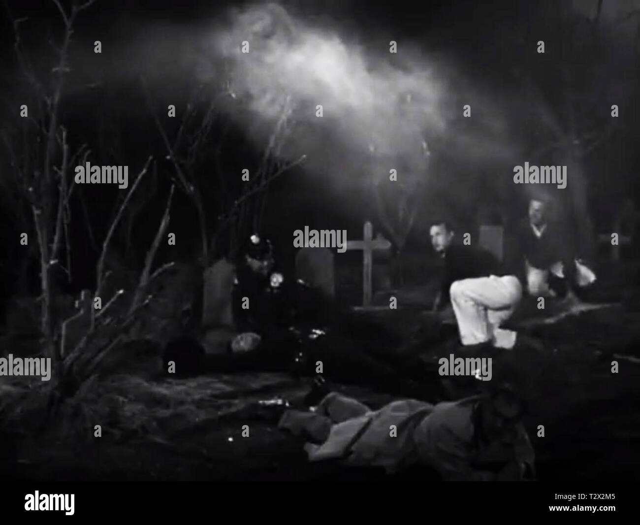 Scene from the graveyard in Plan 9 From Outer Space Stock Photo - Alamy