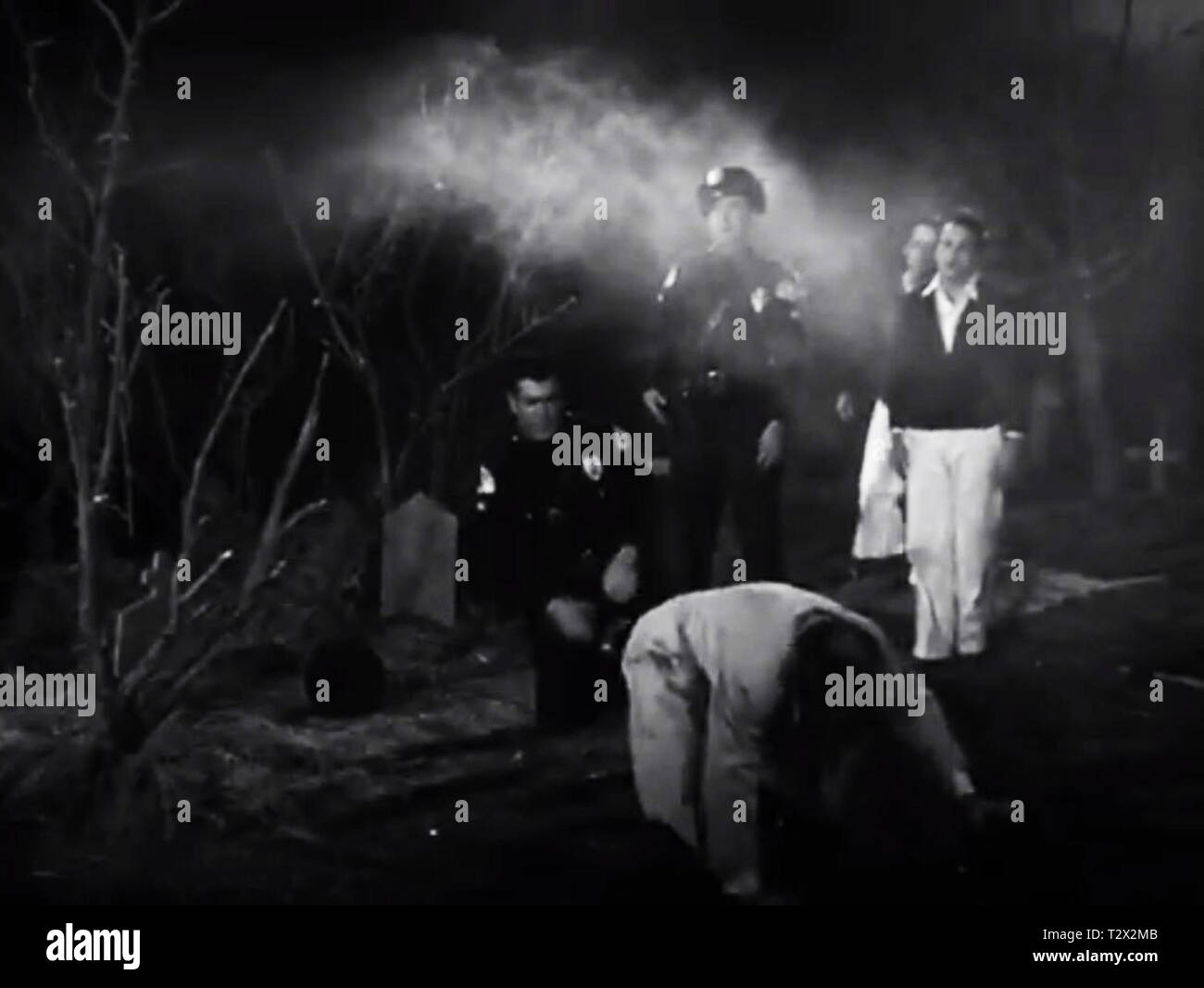 Scene from the graveyard in Plan 9 From Outer Space Stock Photo - Alamy