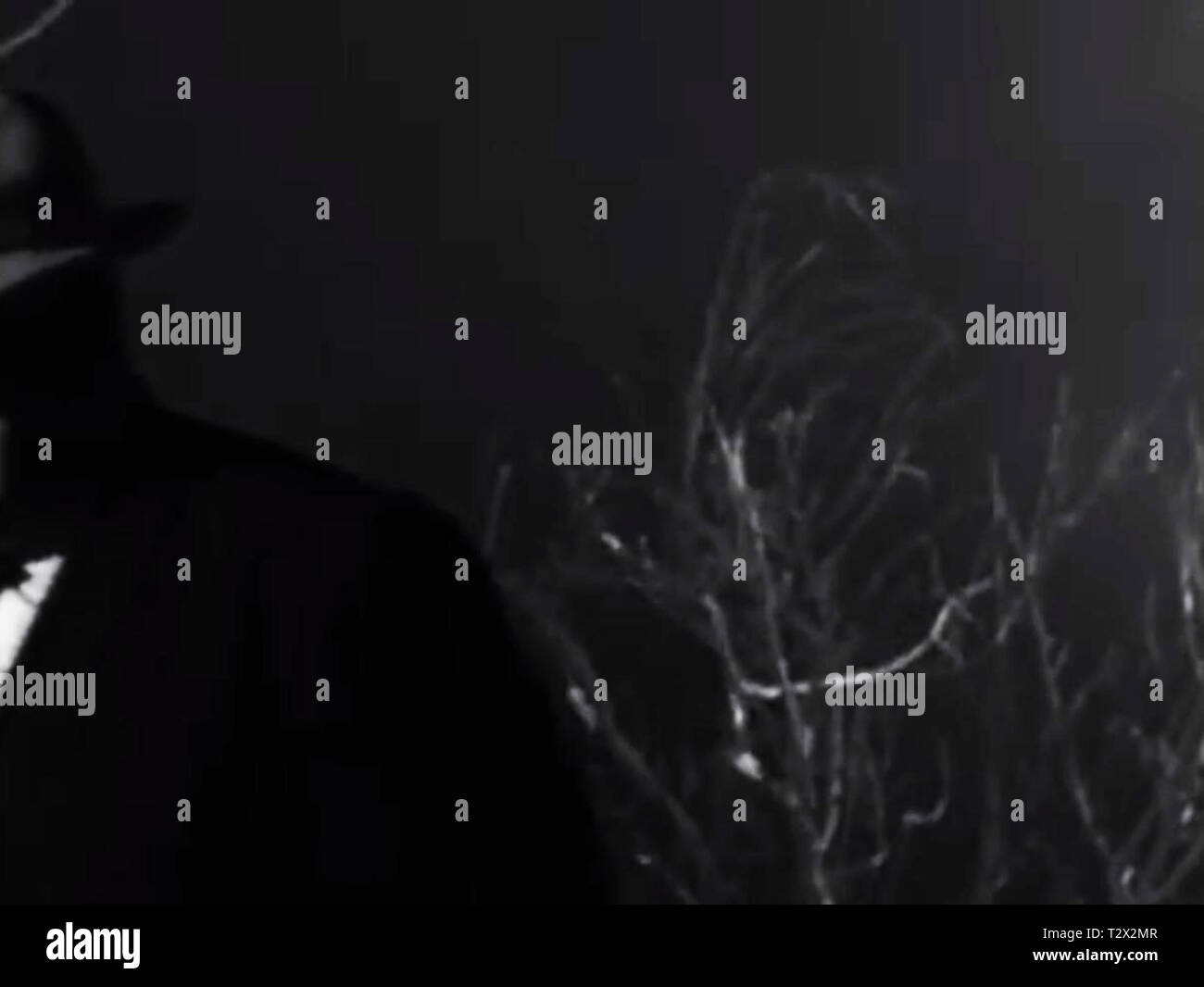 Tor Johnson in Plan 9 from Outer Space by Ed Wood Stock Photo - Alamy