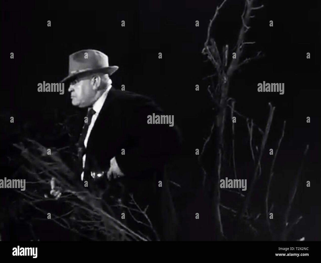 Tor Johnson in Plan 9 from Outer Space by Ed Wood Stock Photo - Alamy