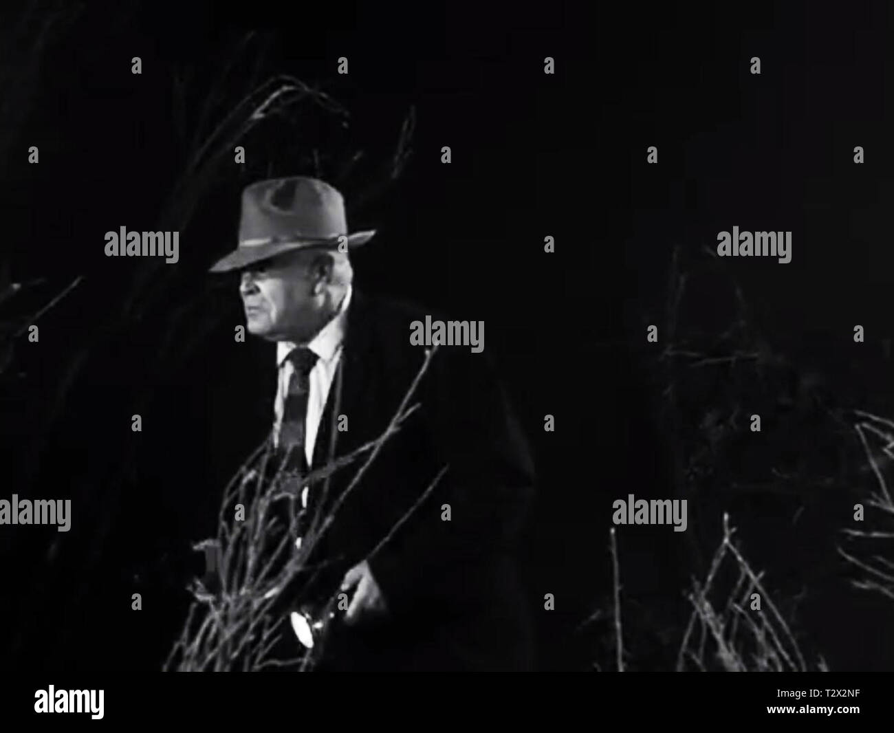 Tor johnson plan 9 hi-res stock photography and images - Alamy