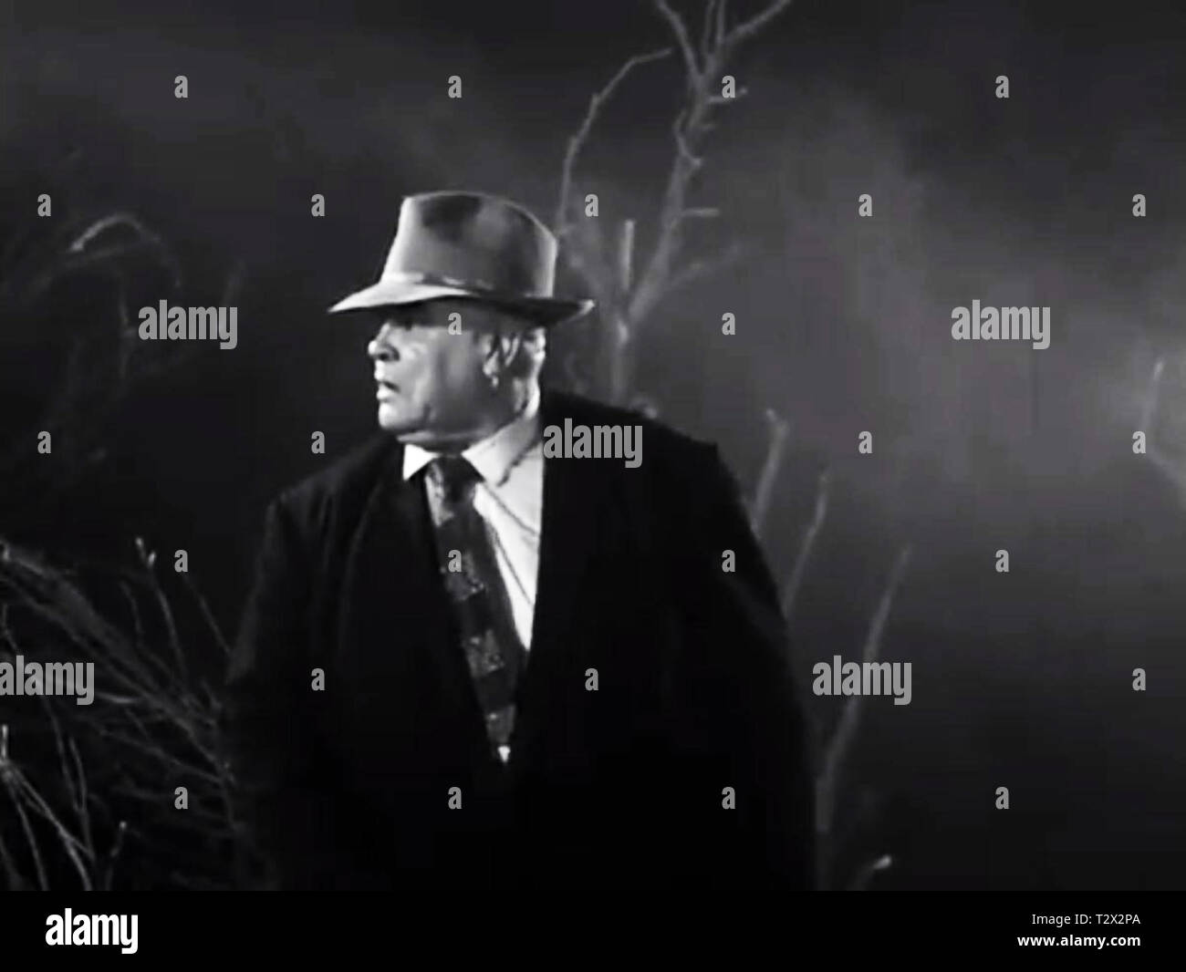 Tor Johnson in Plan 9 from Outer Space by Ed Wood Stock Photo - Alamy