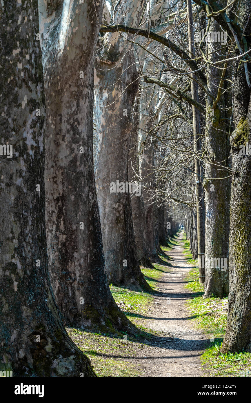 Great lane hi-res stock photography and images - Alamy