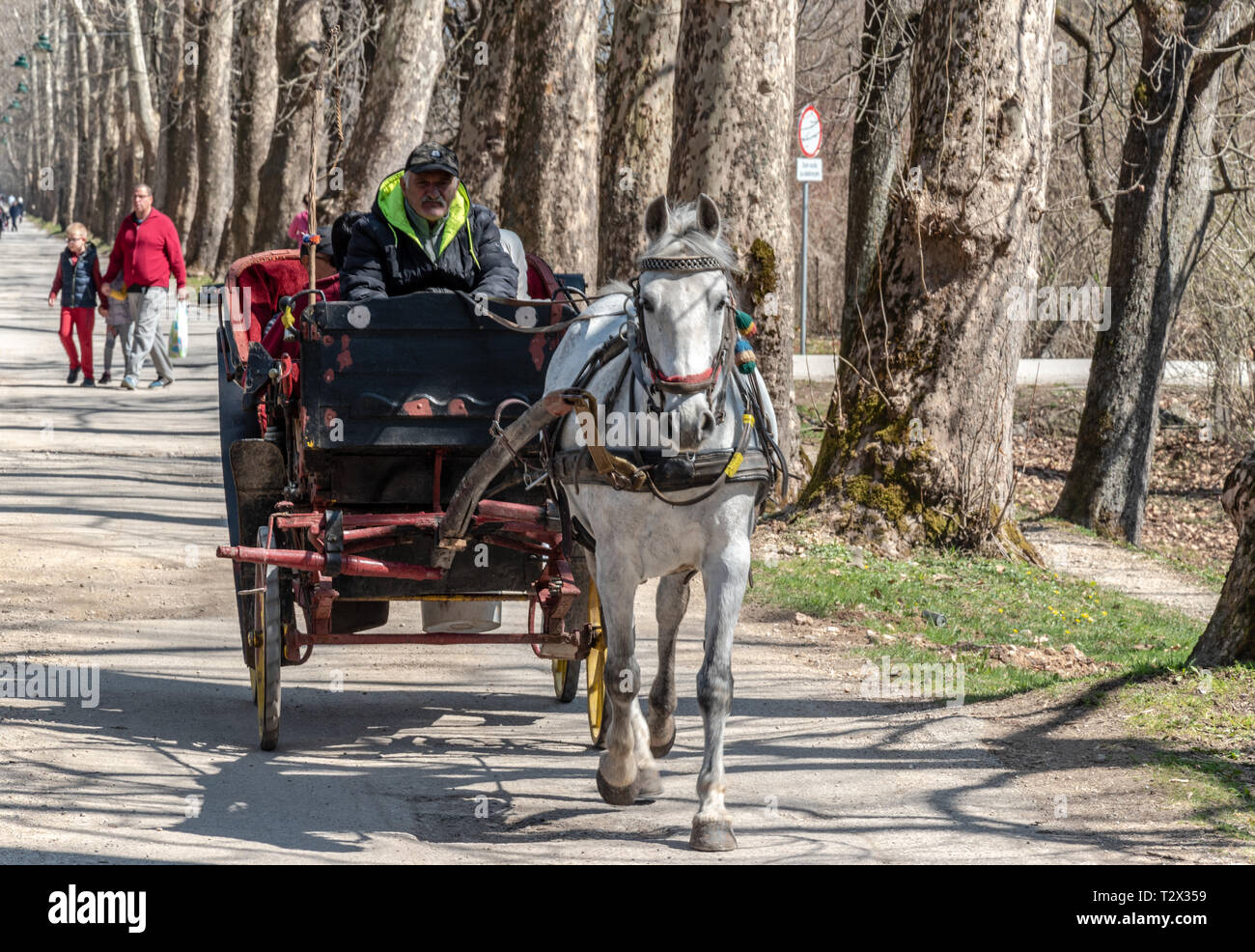 Horse driven chariot hi-res stock photography and images - Alamy