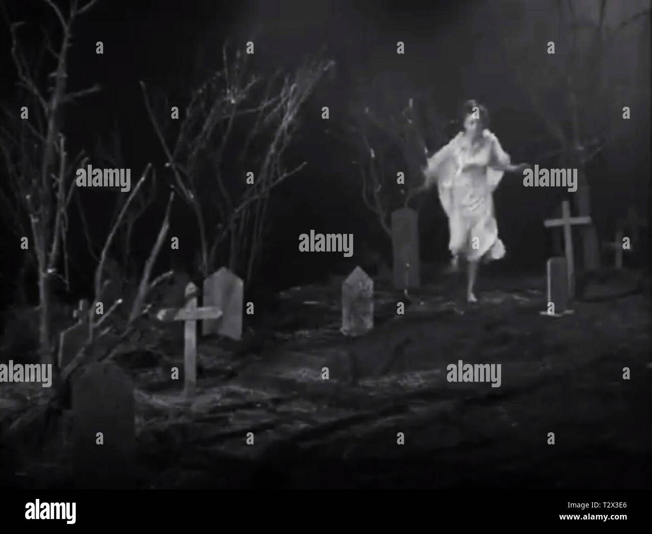 Scene from the graveyard in Plan 9 From Outer Space Stock Photo - Alamy