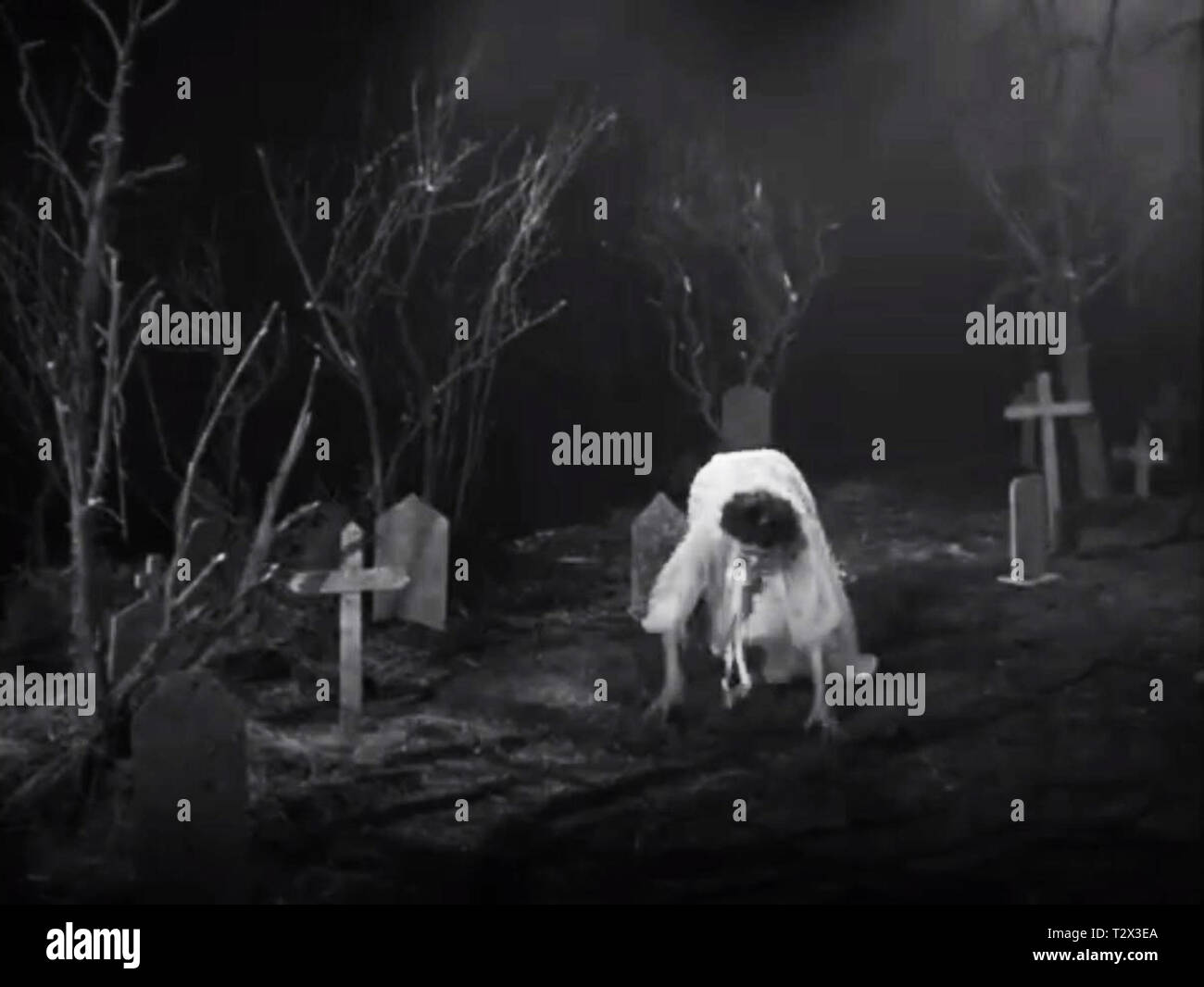 Scene from the graveyard in Plan 9 From Outer Space Stock Photo - Alamy
