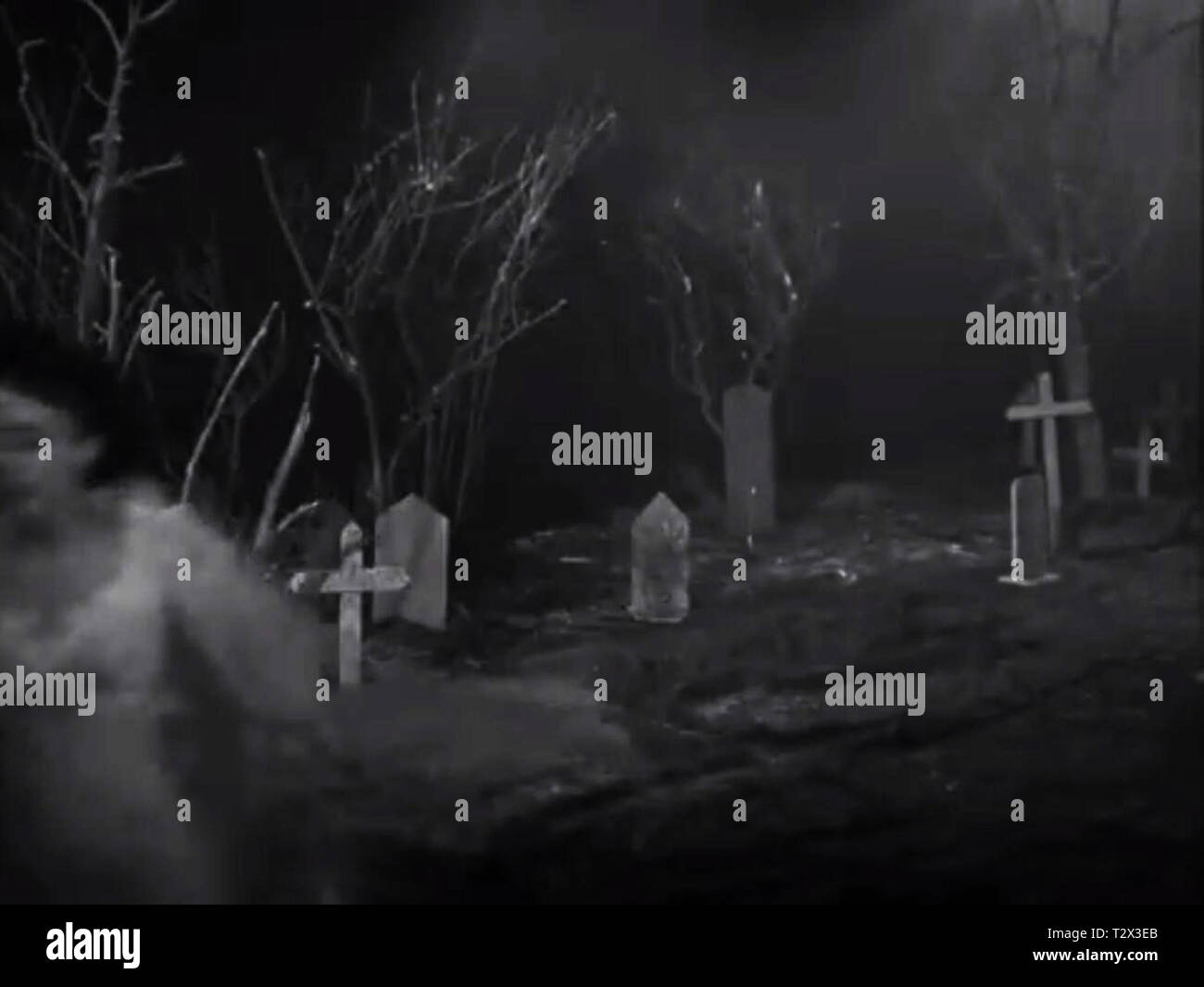 Scene from the graveyard in Plan 9 From Outer Space Stock Photo - Alamy