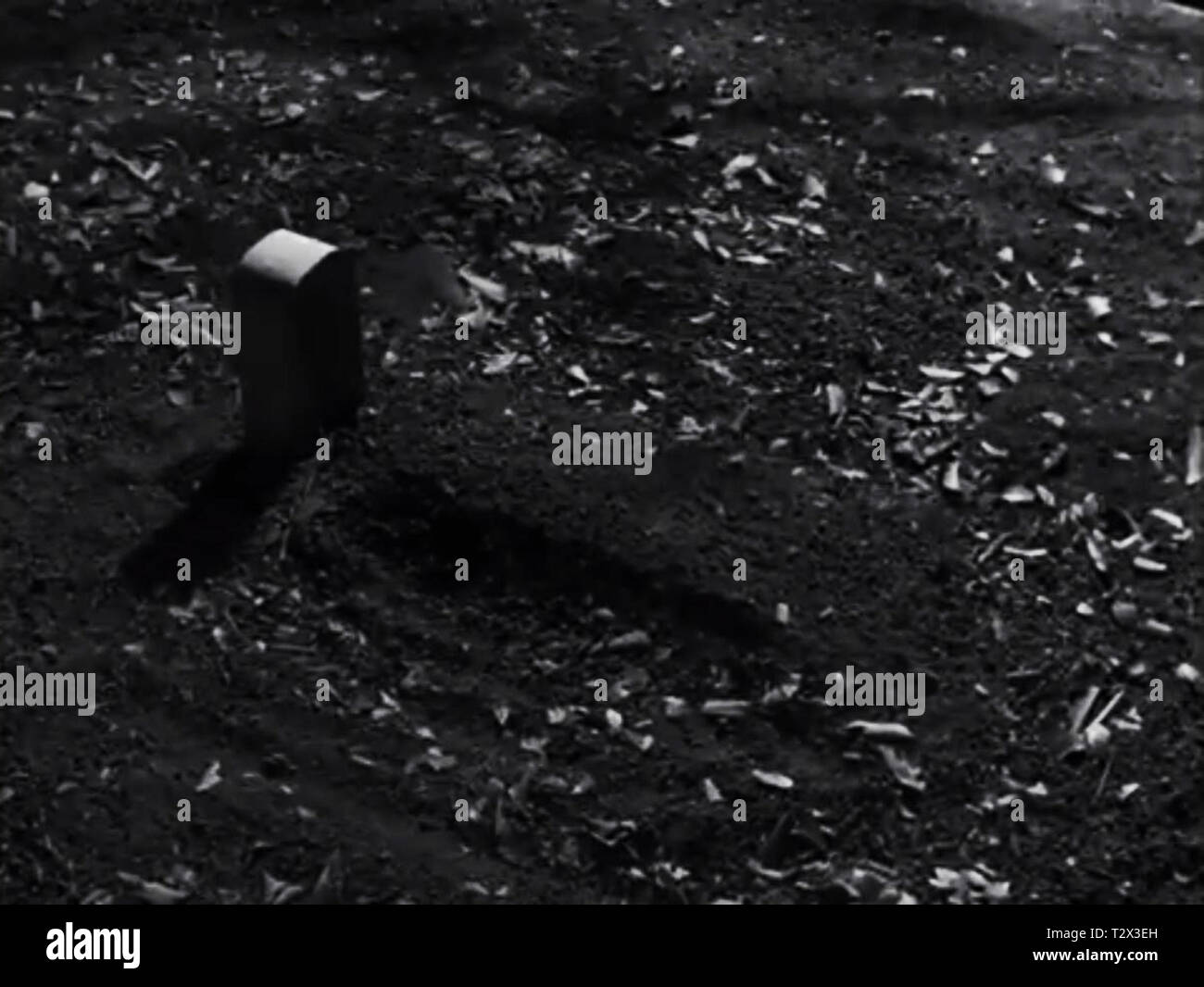 Scene from the graveyard in Plan 9 From Outer Space Stock Photo - Alamy