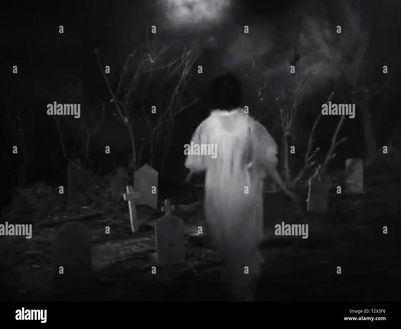 Scene from the graveyard in Plan 9 From Outer Space Stock Photo - Alamy