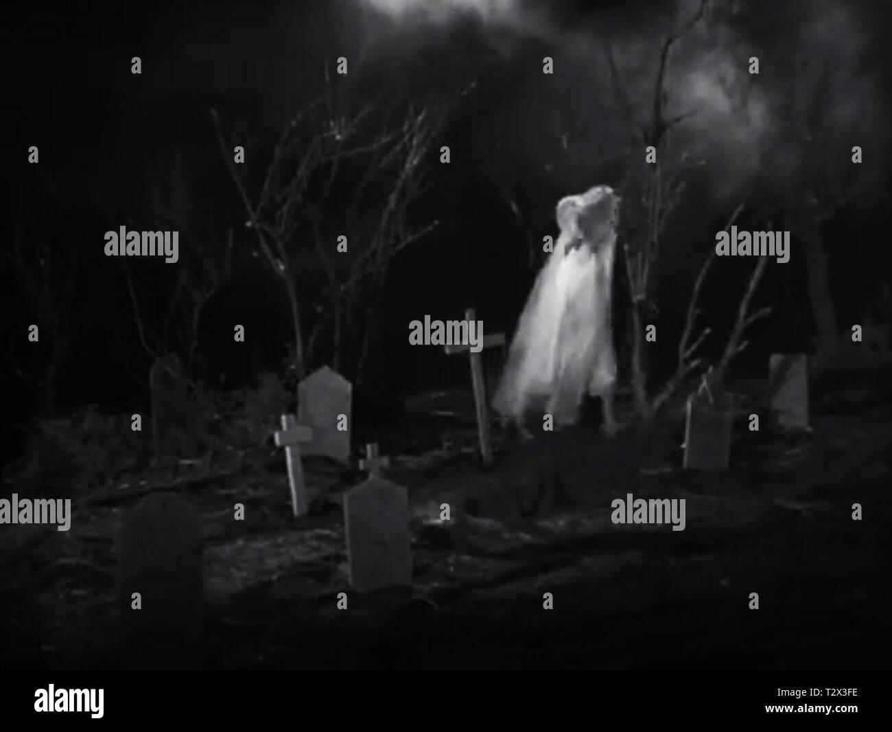 Scene from the graveyard in Plan 9 From Outer Space Stock Photo - Alamy