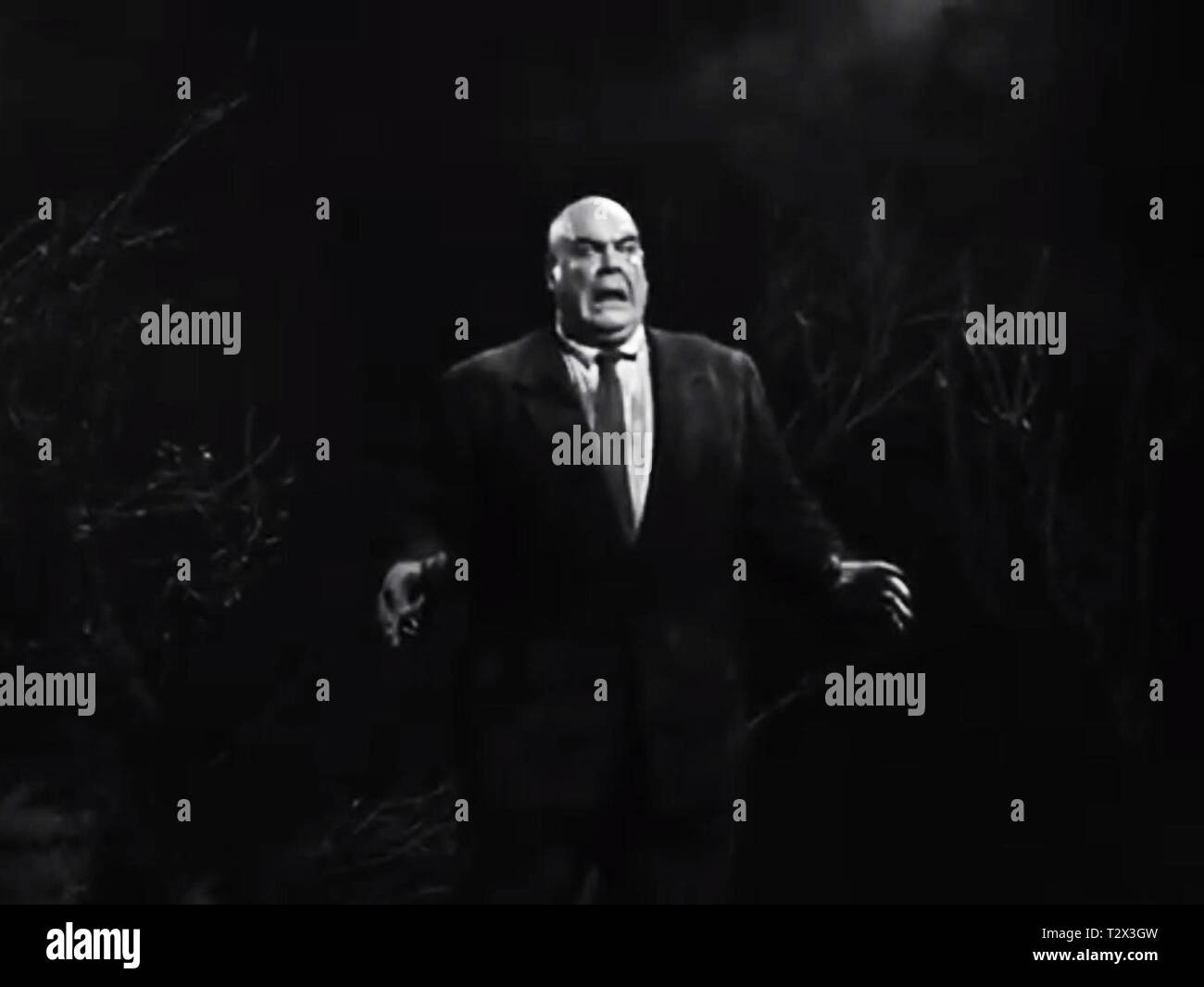 Vampira High Resolution Stock Photography and Images - Alamy