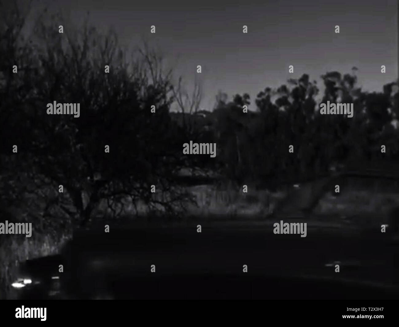 Scene from the graveyard in Plan 9 From Outer Space Stock Photo - Alamy