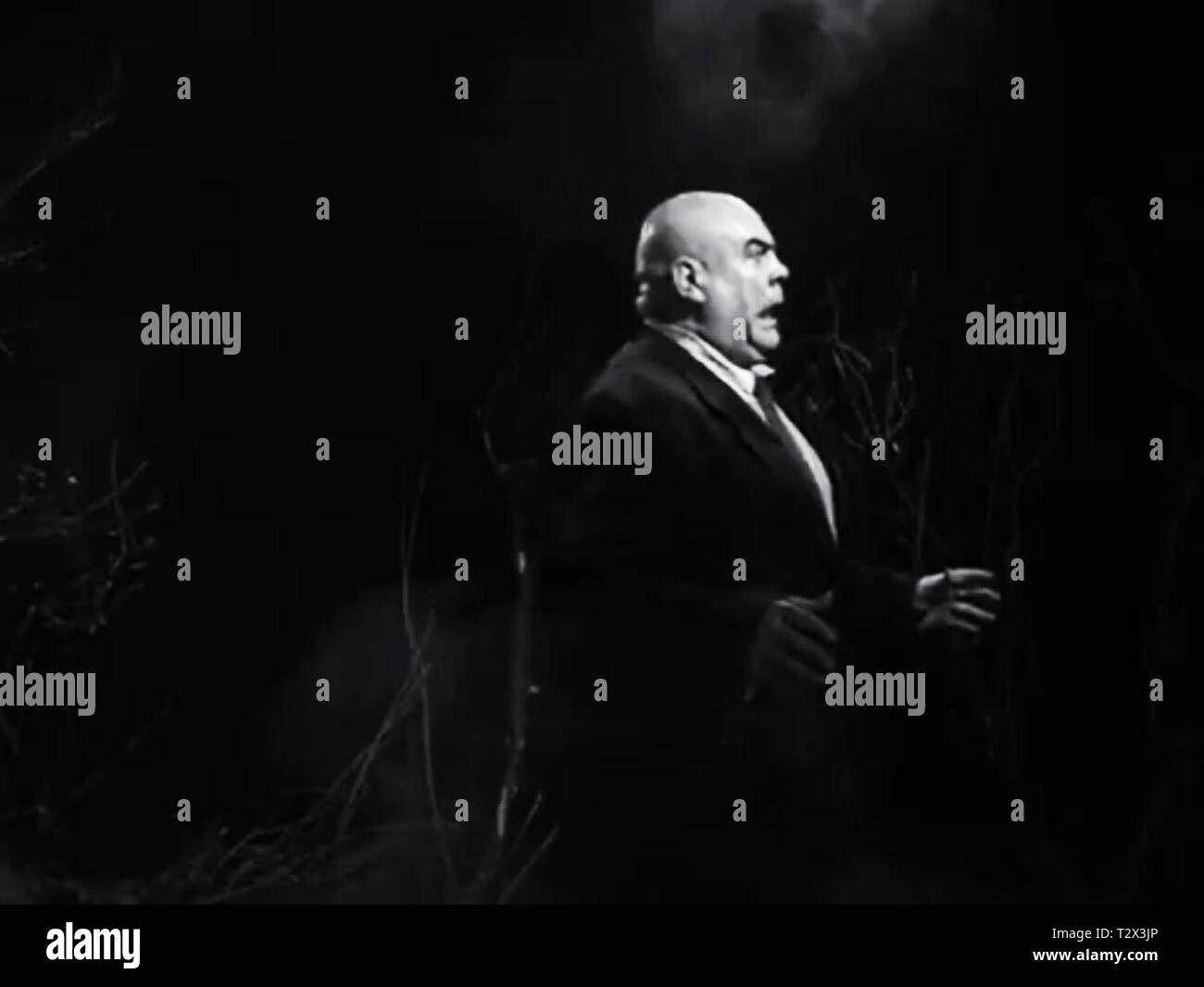 Tor Johnson in Plan 9 from Outer Space by Ed Wood Stock Photo - Alamy