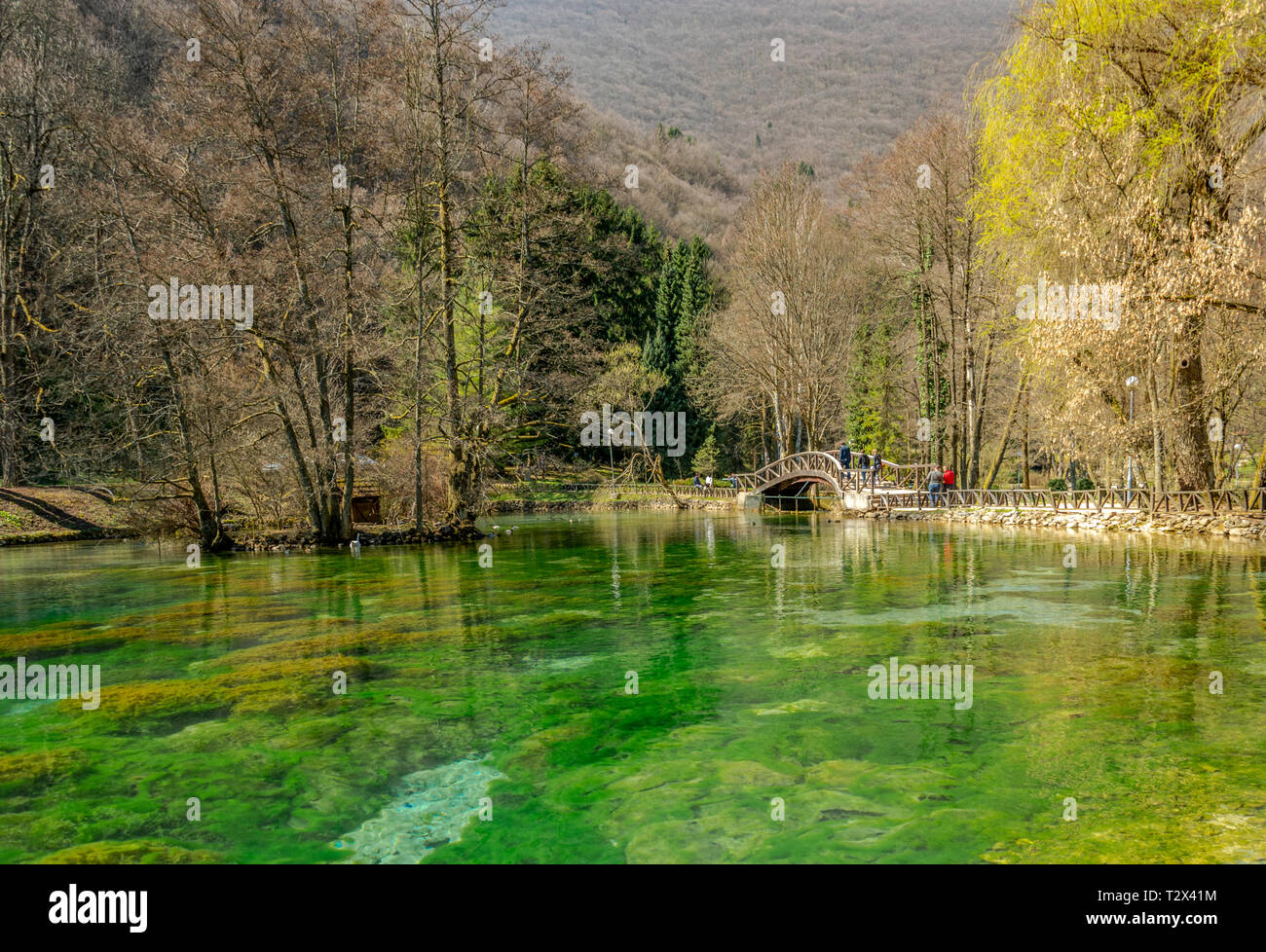 Bosne hi-res stock photography and images - Alamy