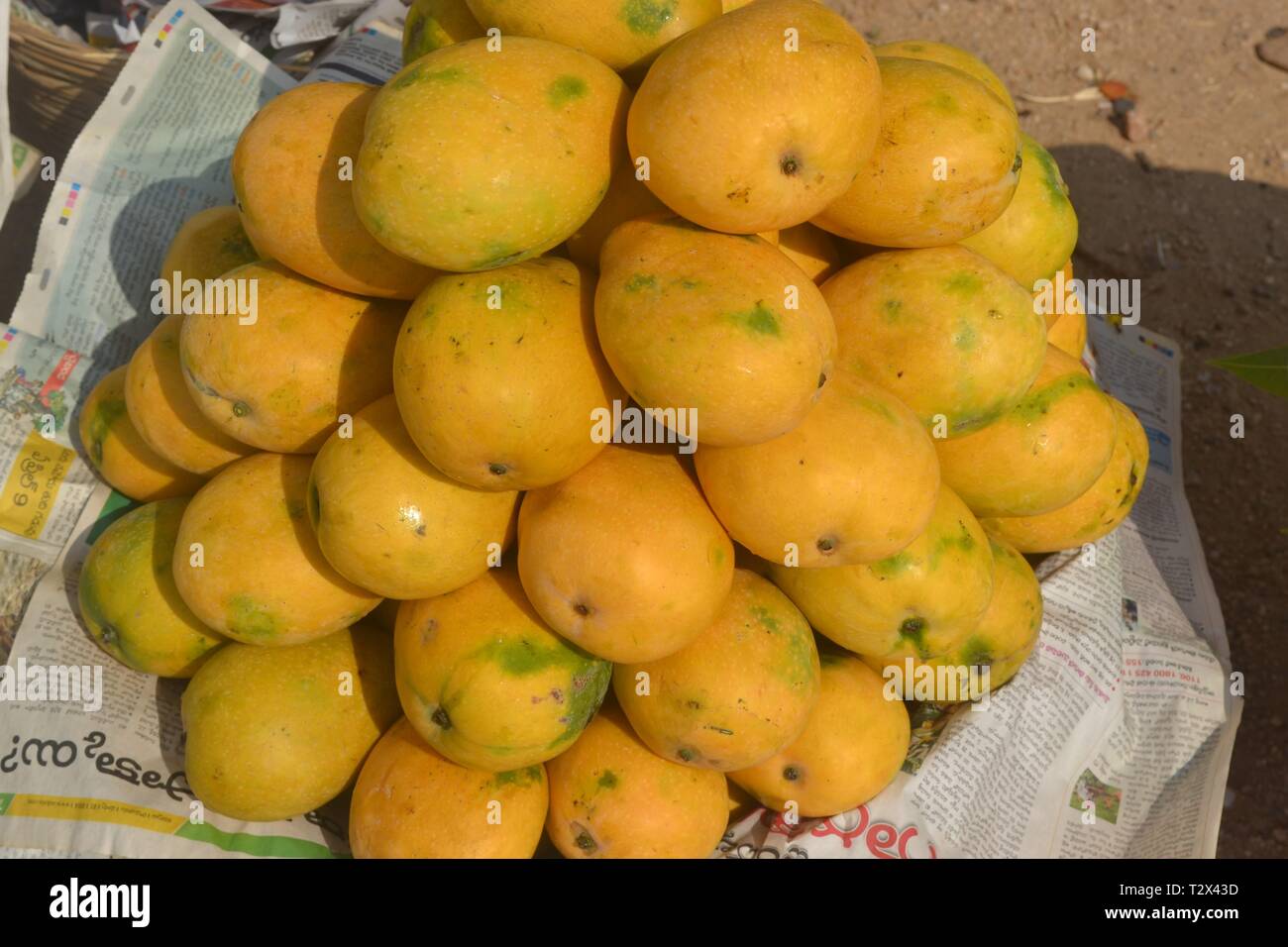 Fresh,ripe mangoes for sale in the market-Hyderabad,India Stock Photo ...