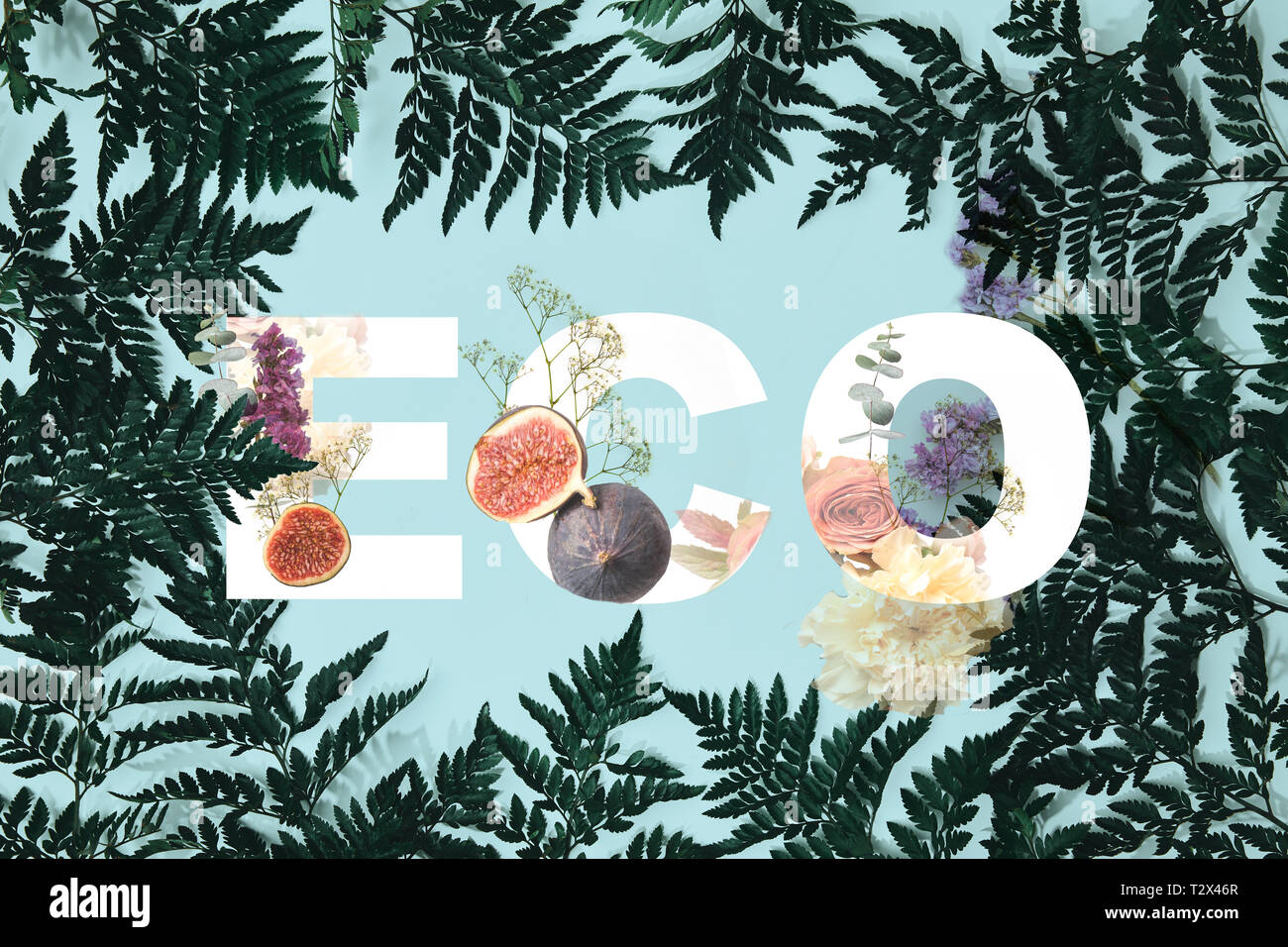 fern leaves frame on blue background with flowers and figs illustration ...