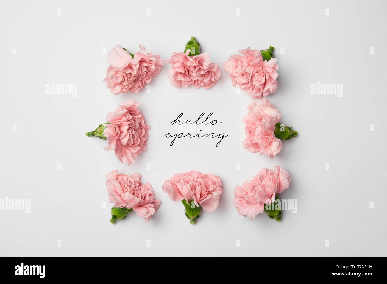top view of floral frame made of pink carnations on white background ...