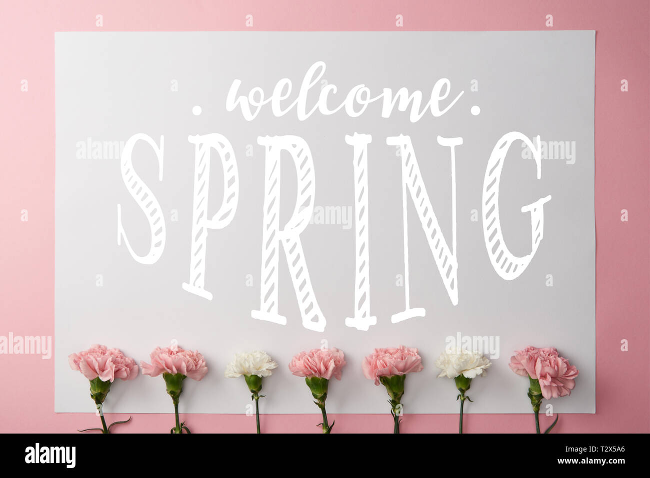 top view of pink and white carnation flowers and card with welcome ...