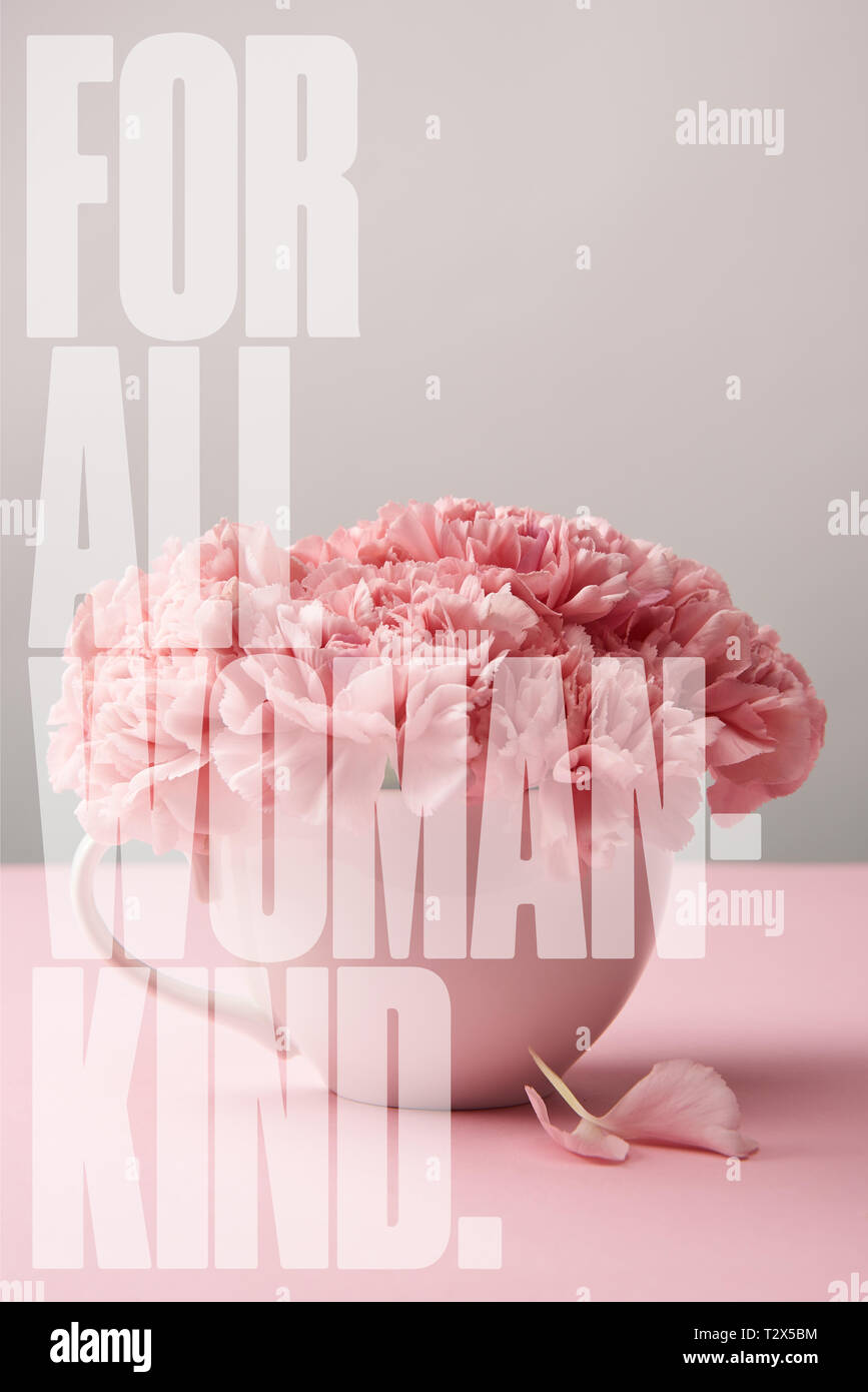 pink carnation flowers in cup on grey background with for all woman ...