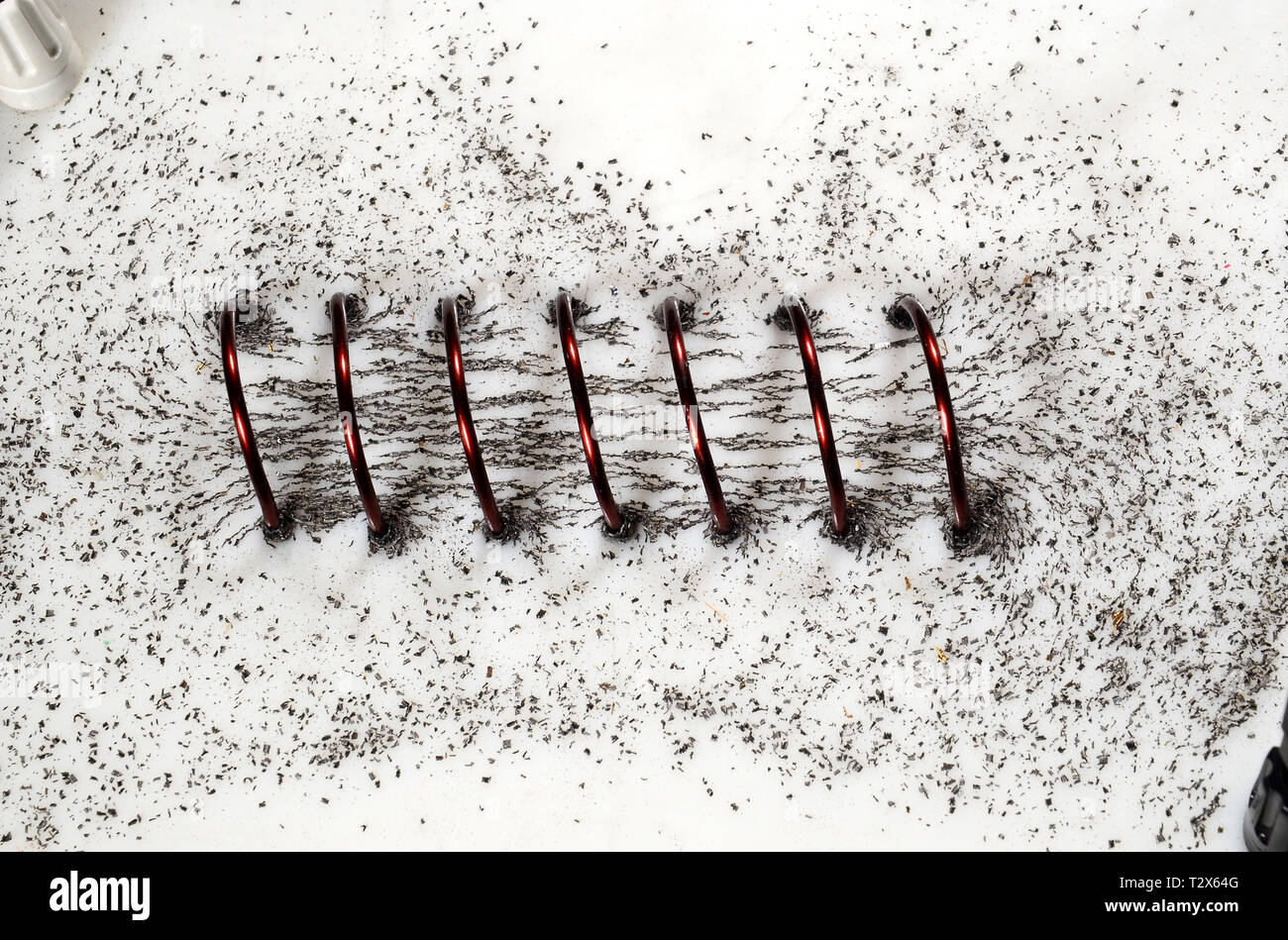 Iron powder shows the magnetic lines of forces in a coil, where a ...