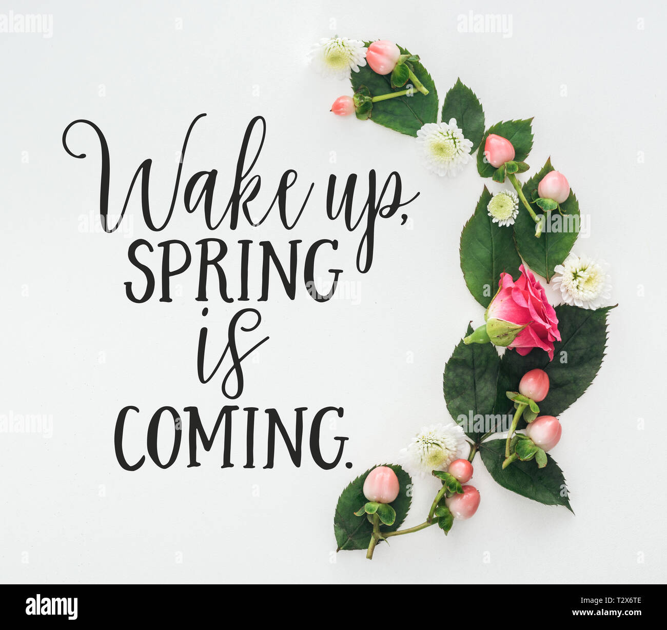 top view of composition with green leaves, rose and chrysanthemums on ...