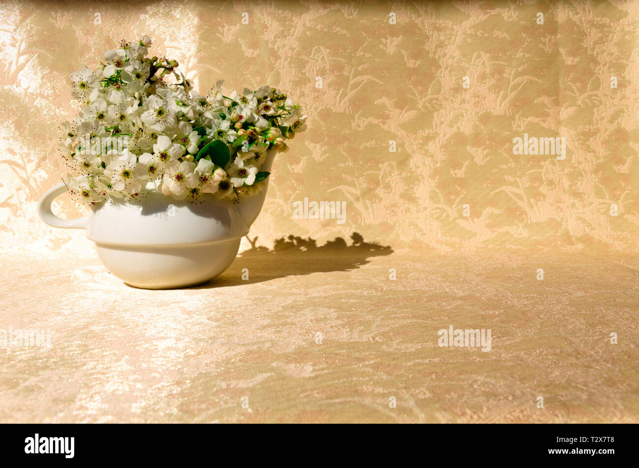 Bodegón floral hi-res stock photography and images - Alamy