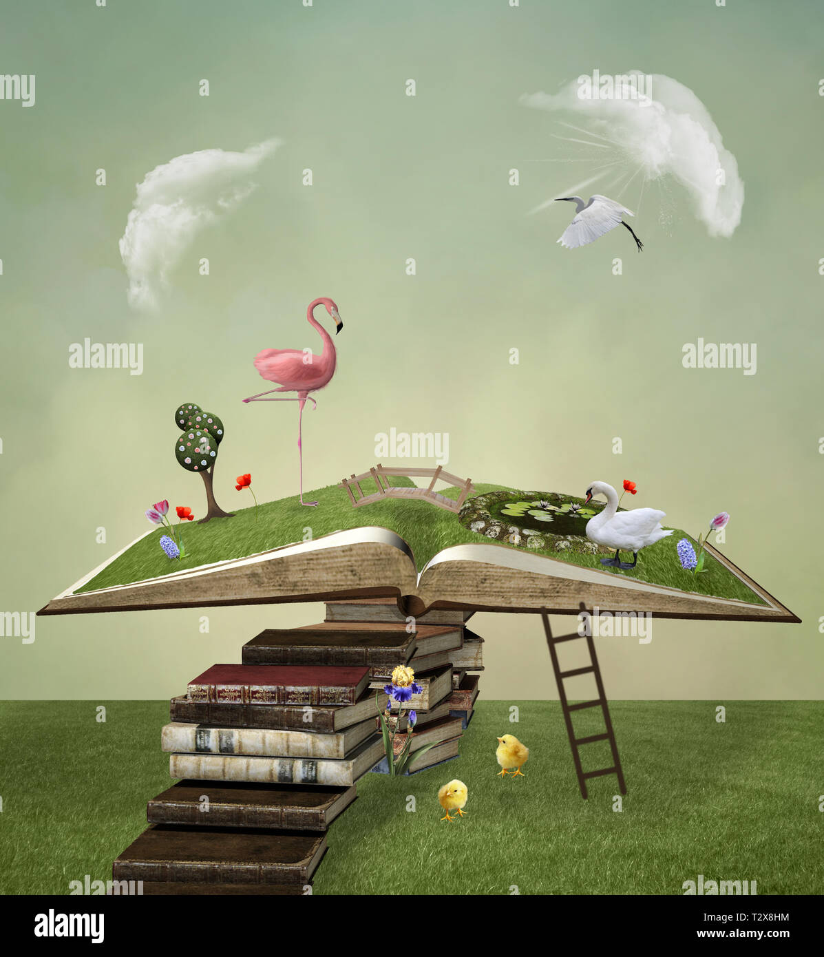 Pathway to the open book Stock Photo - Alamy