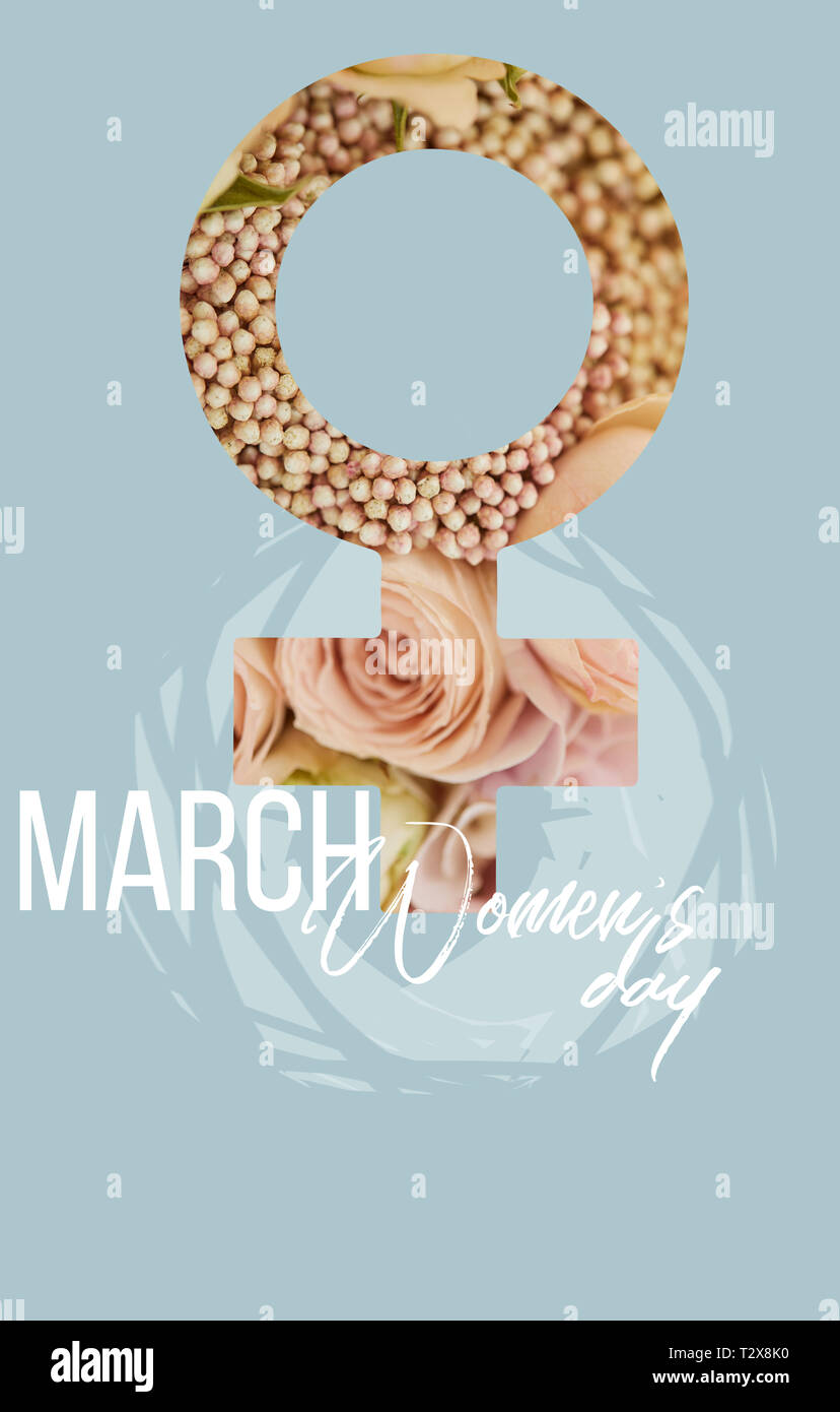 female sign of beige roses on blue background with 8 march illustration ...