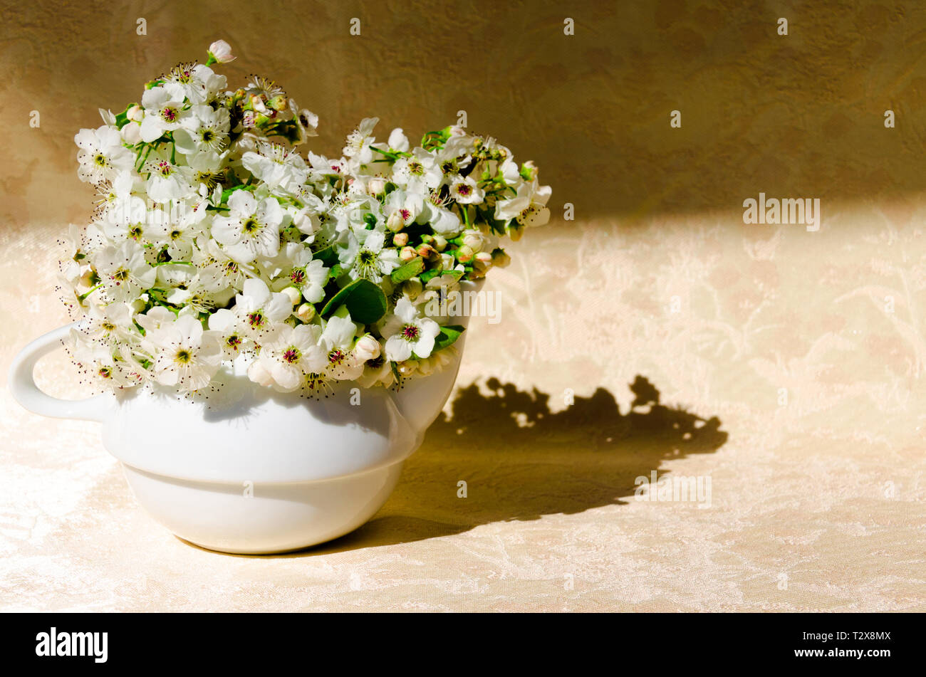 Bodegón floral hi-res stock photography and images - Alamy