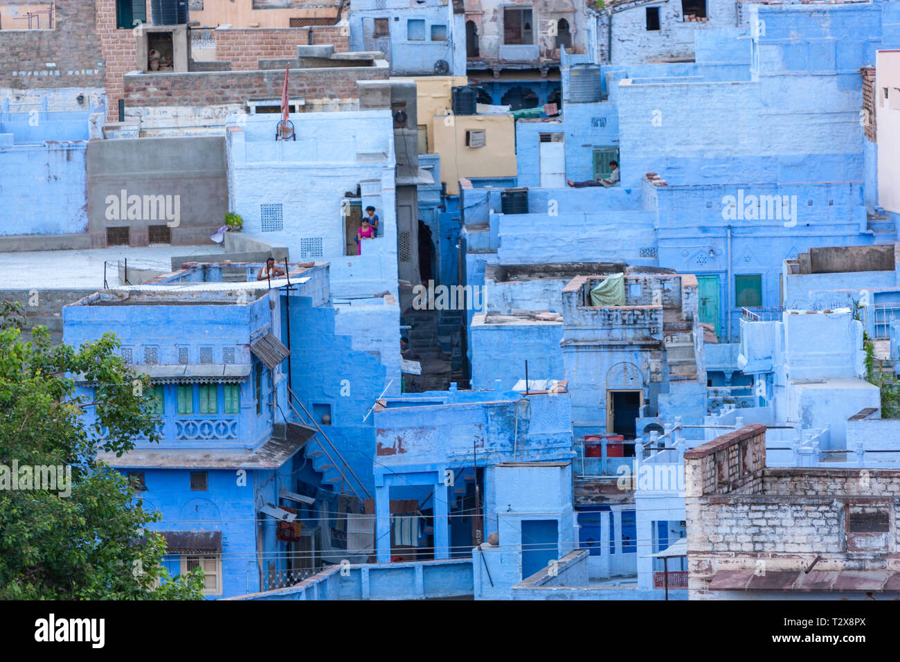 The Blue City, Jodhpur, Rajasthan, India Stock Photo - Alamy
