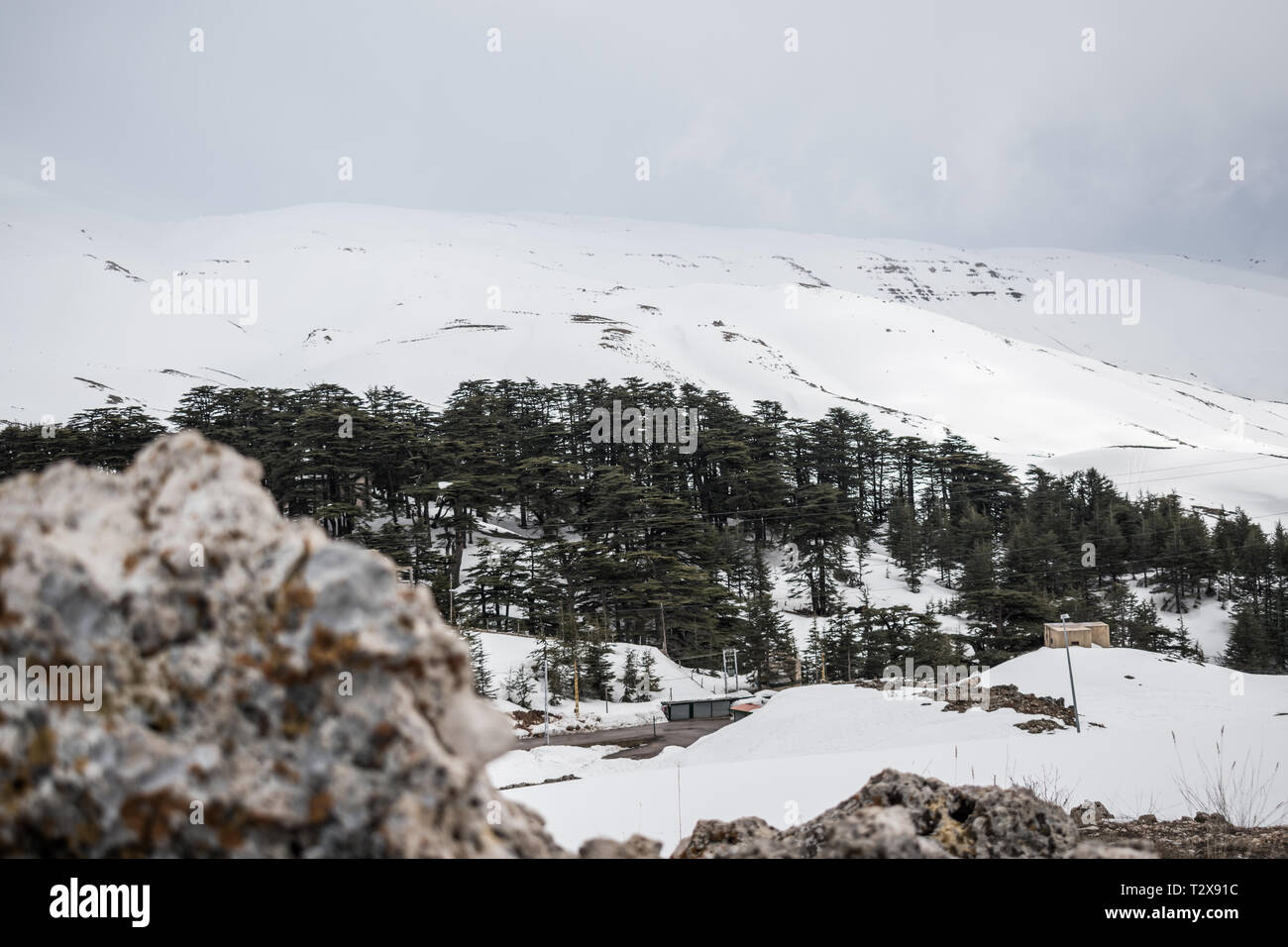 This is a capture for a landscape during winter in north Lebanon and ...