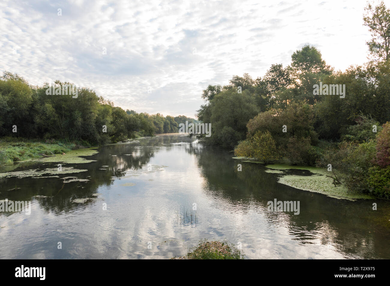 Pools restoration hi-res stock photography and images - Alamy